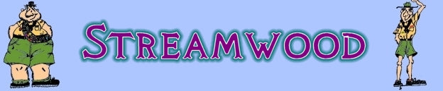 Steamwood.net – Streamwood.net