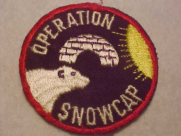 1960'S OPERATION SNOWCAP – Streamwood.net
